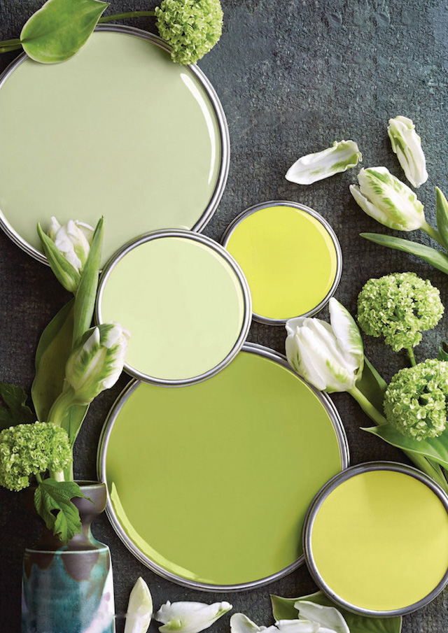 Chartreuse A Blend Of Yellow Green Total Design Source